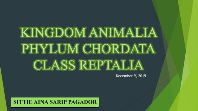 Classification of reptilia | PPT