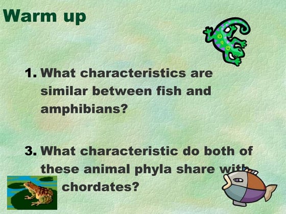 Mammals notes | PPT