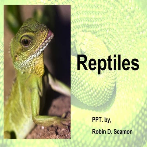 Reptile notes: Notes on Class Reptilia and Orders Crocodilia ...