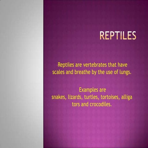 Reptiles | PPTX