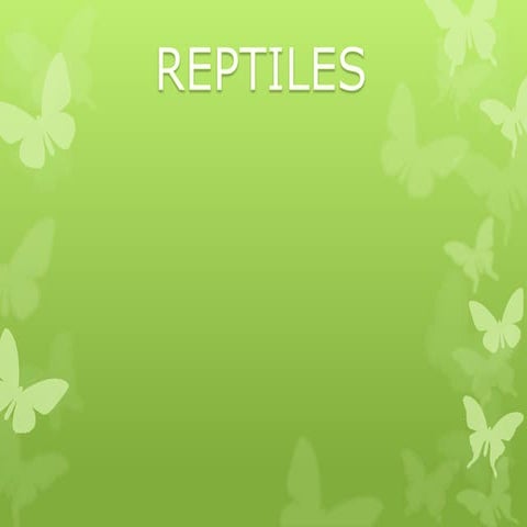 Reptiles | PPTX