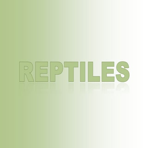 First Steps on Science_ Reptiles | PPTX