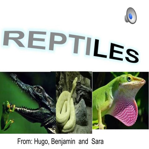 ANIMALS NATURAL SCIENCE | PPTX