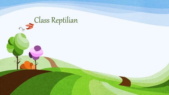 Classification of reptilia | PPT | Reptiles | Pets