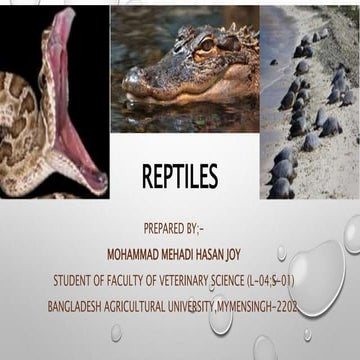 Reptiles. | PPT