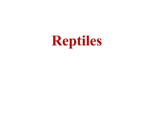 Classification of reptilia | PPT | Reptiles | Pets