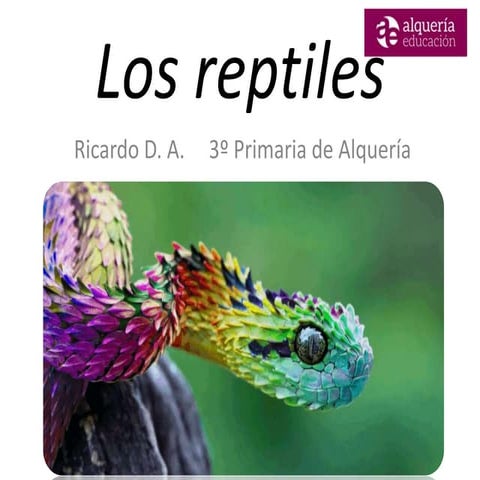 Los reptiles (Presentación PowerPoint) | PPT