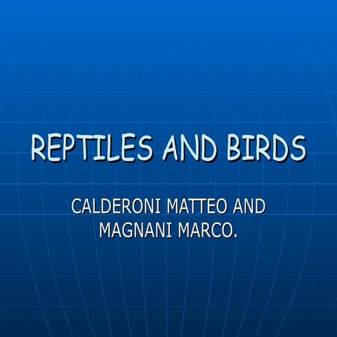 Reptiles and birds | PPT