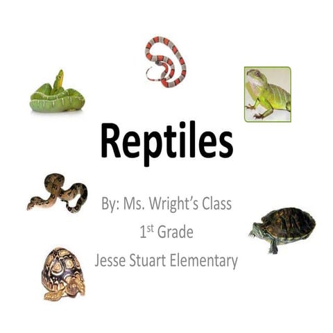 Reptiles Group | PPTX