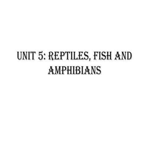Reptiles, fish and amphibians | PPT