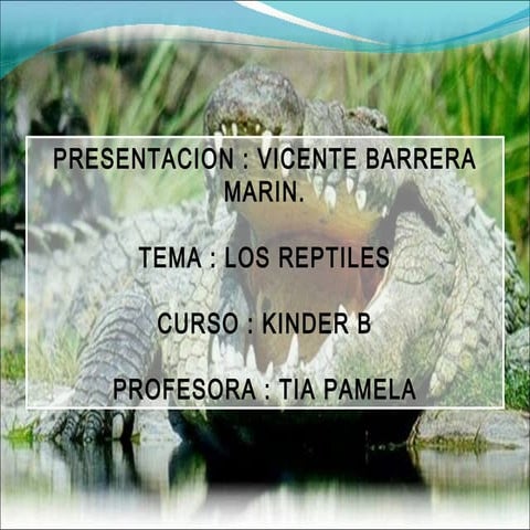 Reptiles | PPT
