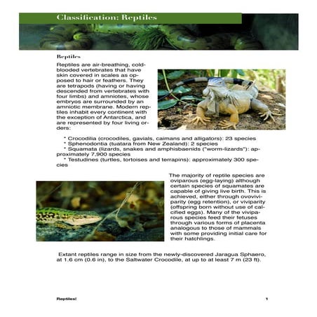 Reptiles Wiki | PDF | Reptiles | Pets