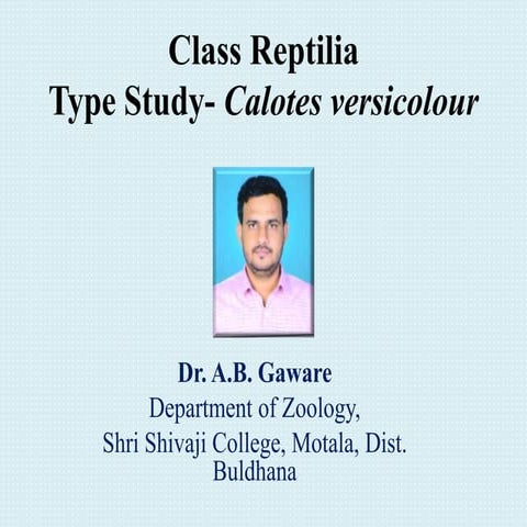 Ascidia - Zoology - exam point of view | PPTX