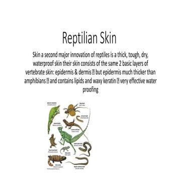 Reptilian skin | PPTX