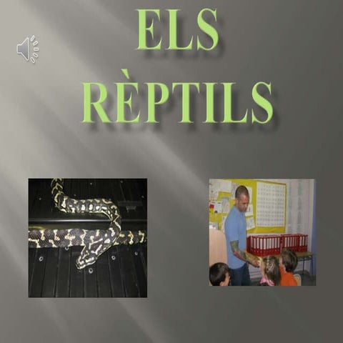 PROJECTE RÈPTILS 2n A | PPSX
