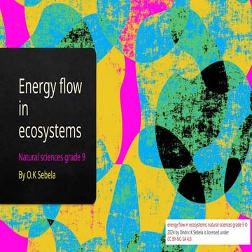 energy flow in ecosystems licensed pptx.pptx