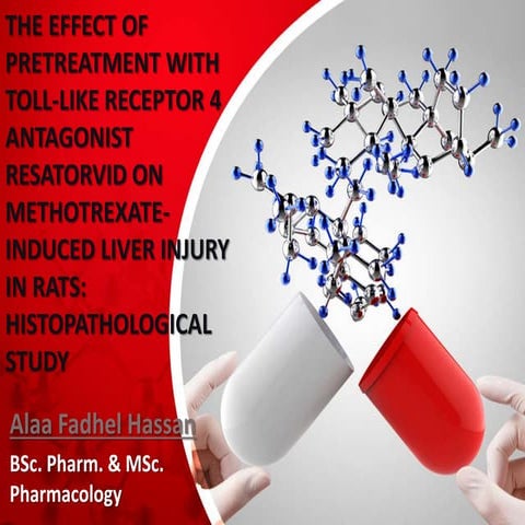 The effect of pretreatment with Toll-like receptor 4 antagonist ...