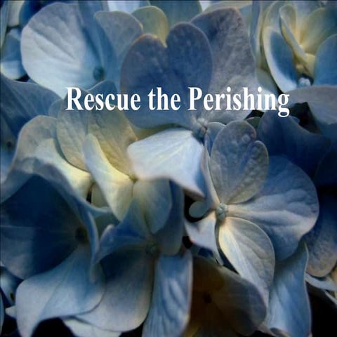 Rescue the Perishing | PPTX