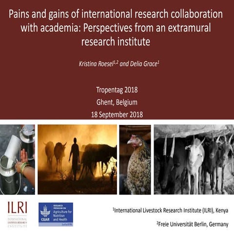 Pains and gains of international research collaboration with academia ...