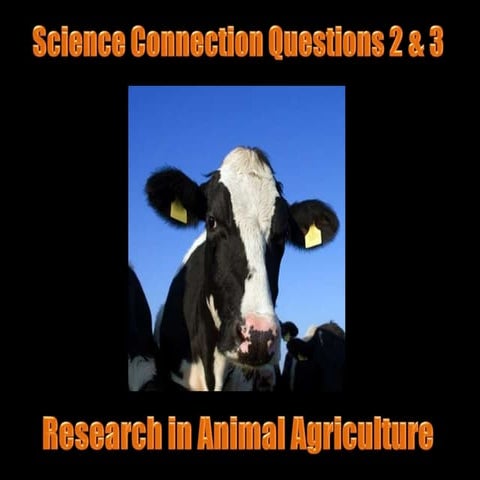 Research in Animal Agriculture | PPTX