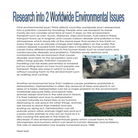 Research into 2 worldwide environmental issues | DOCX