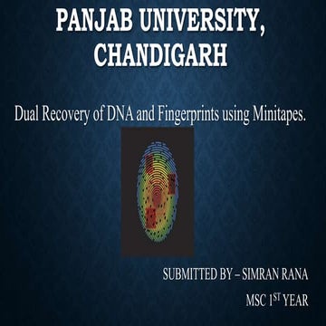 dual recovery of dna & fingerprints by minitapes | PPTX