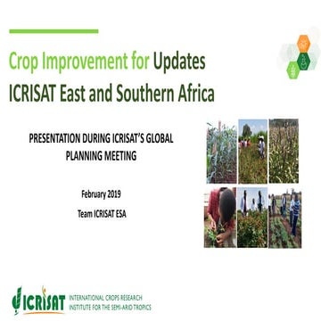ICRISAT Global Planning Meeting 2019: Research Program - Crop ...