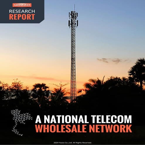RESEARCH REPORT A National Telecom Wholesale Network | PDF