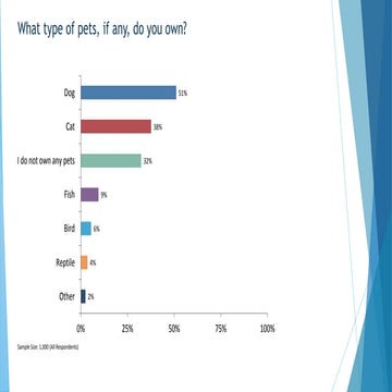 Dog Walking Survey | PPTX