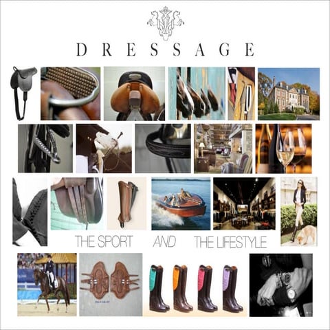 Dressage research & sport designs midterm | PPT