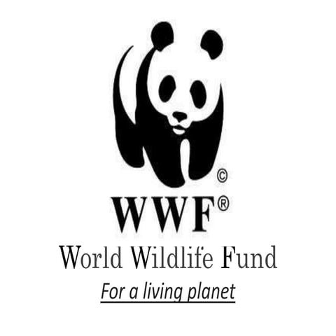 Research task WWF | PPTX