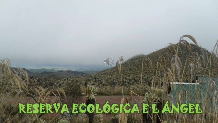 Reserva Ecologica "El Angel"