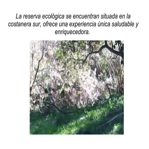 Presentacion de la reserva ecológica | PPTX