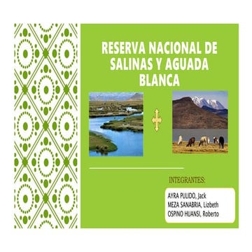 Reserva nacion de salinas y aguada blanca grupal | PPTX