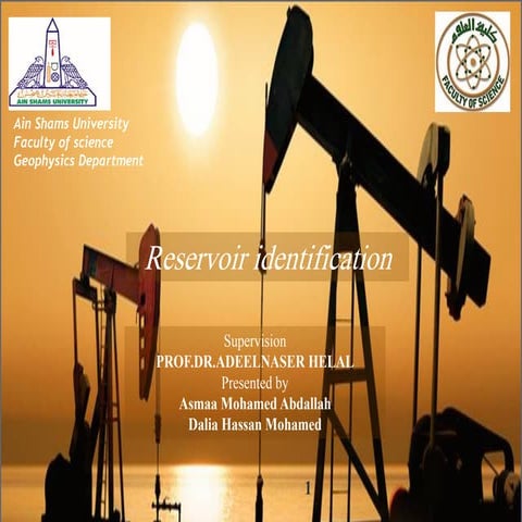 Direct hydrocarbon indicators (DHI) | PDF