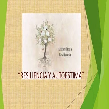 RESILICIENCIA Y AUTOESTIMA.pptx