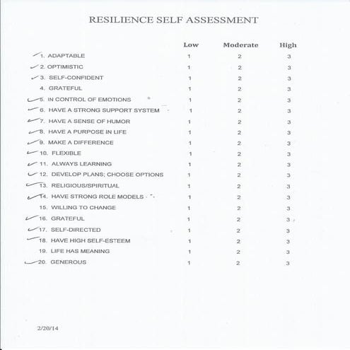 Resilience assessment 2 | PDF