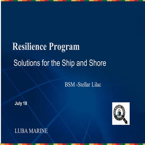 Resilience brief bsm | PDF