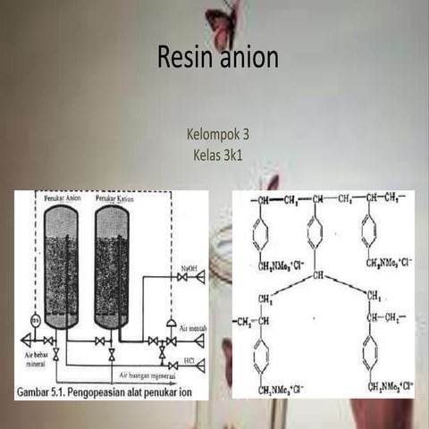 Resin anion | PPTX