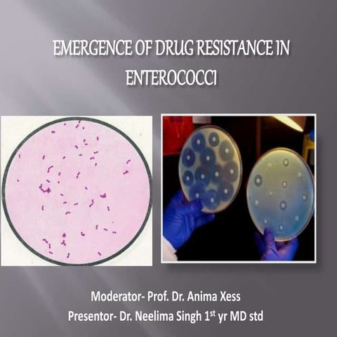 Resistance in enterococci | PPTX