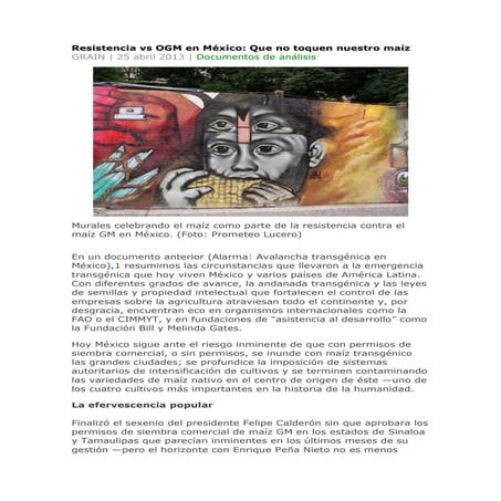 Resistencia vs OGM en México: Que no toquen nuestro maíz | PDF