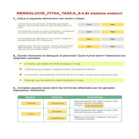 Resol fitxa tasca_6.4.el sistema endocrí 2 | PDF