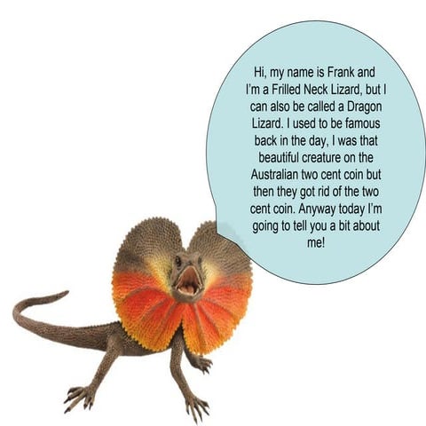 Frank the Frilled-Neck Lizard | PPT