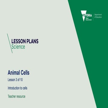 animal cells for a year 8 class with exercise | PPTX