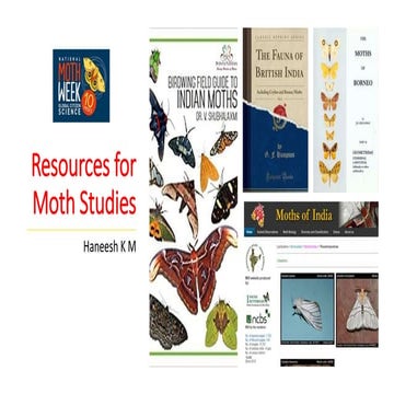 Resources for moth studies | PPTX