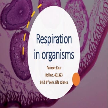 respiration in human beings and also their effects | PPTX