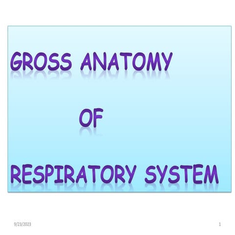 Respiratory System PPT, Anatomy and Physiology | PPTX