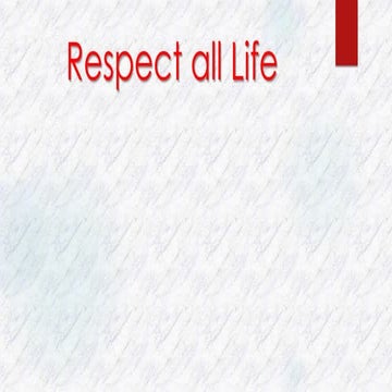 Respect All Life | PPT