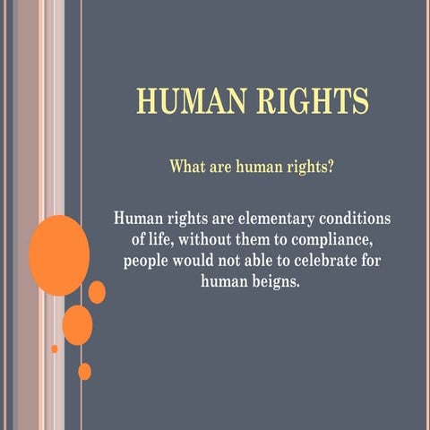 Respecting the human rights in our local community | PPT | Education