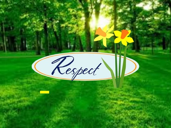 The Respect Basics -Respect begets respect | PPT